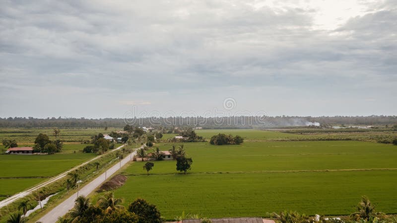 Aerial View of Villages Surrounded by the Green Paddy Fields Stock ...