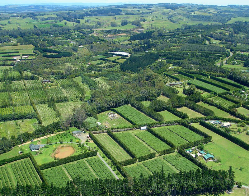 Aerial View of Vineyards and Rural Farms Stock Photo - Image of view ...