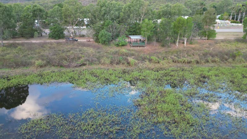 Aerial View of Flamingos Flying Over the Ocean at Sunset in Mussulo Bay ...