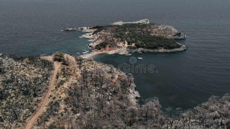 Aerial View of a White Wand Beach Surrounde by Trees Stock Image ...