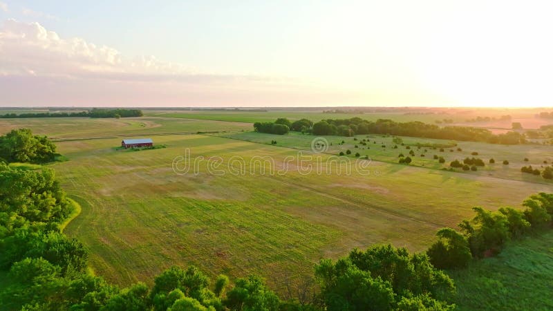 Aerial View of the Wide Farm Trees Stock Video - Video of countryside ...
