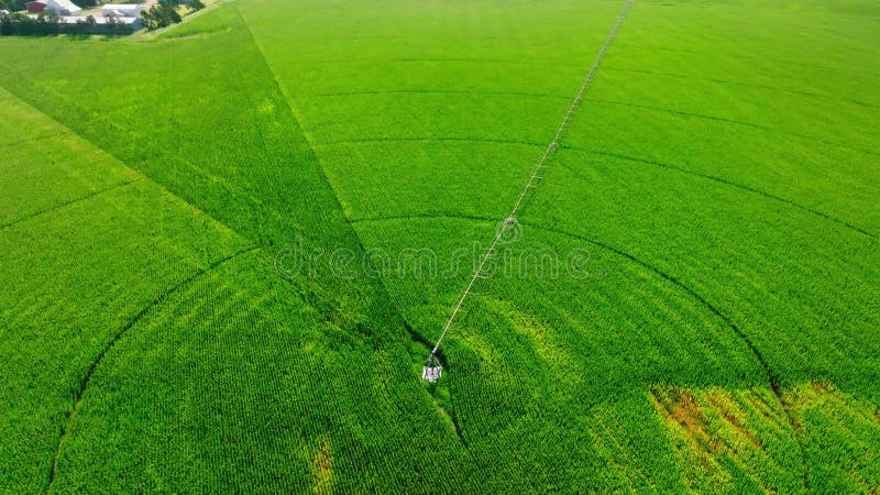 Aerial View of the Wide Farm Trees and Corn Field Stock Footage - Video ...