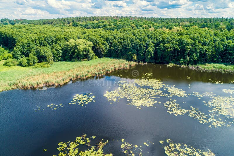 Aerial View of the Wild Pond Stock Image - Image of pond, landscape ...
