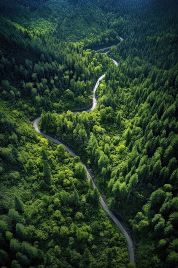 Aerial View of Winding Forest Path Stock Illustration - Illustration of ...