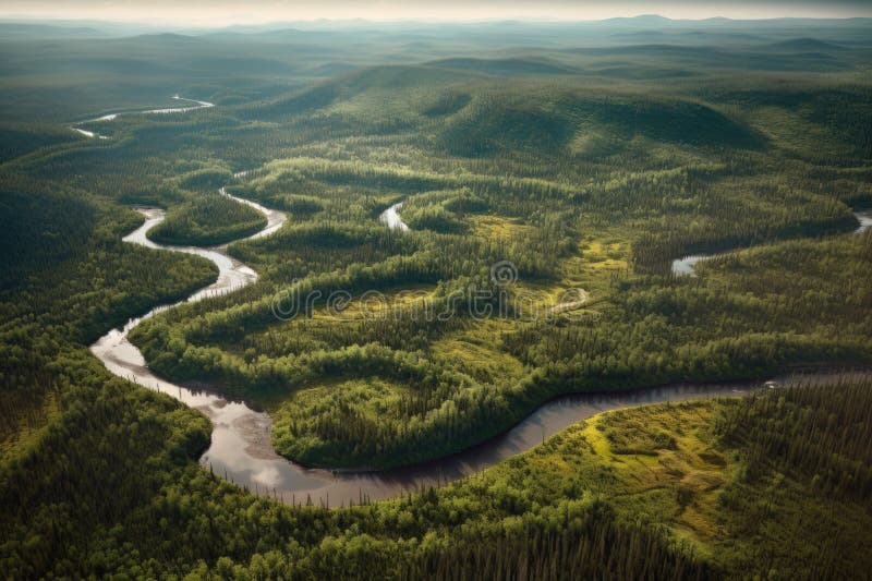 Aerial View of a Winding River Surrounded by Deforested Land Stock ...