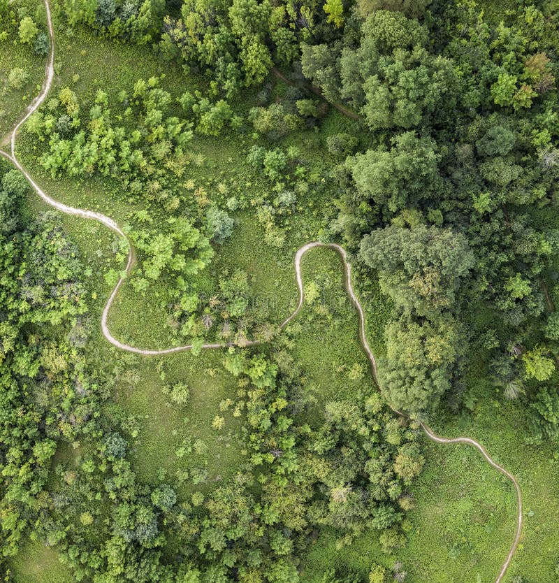 Aerial view of windy trail stock photo. Image of forest - 206816792