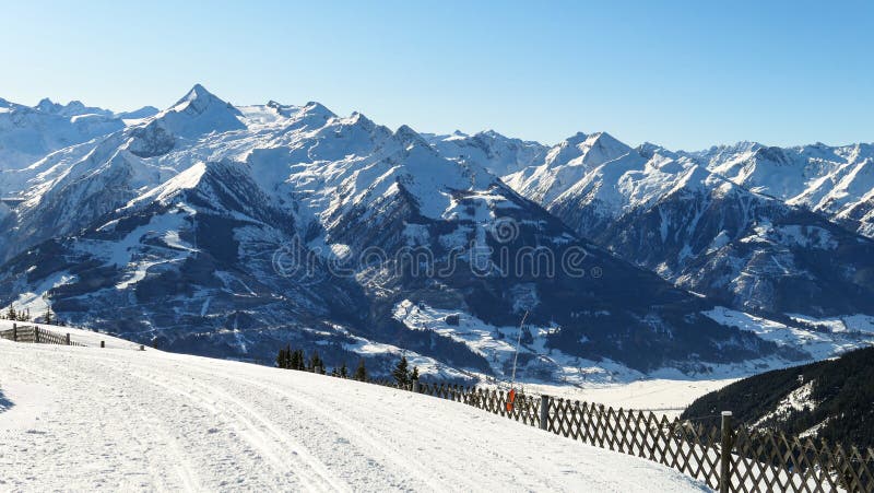Sunny Frozen Leaves and Grass on Ground Stock Image - Image of color ...