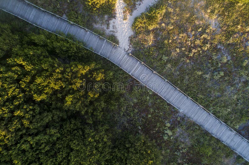 Aerial View of a Wooden Walkway on a Beach Stock Image - Image of ...