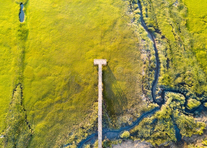 Aerial View of Wooden Bridge Over a Swamp Stock Image - Image of nature ...