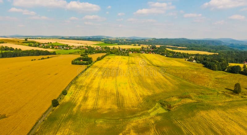 Aerial View of Yellow Meadow Stock Image - Image of nature, yellow ...