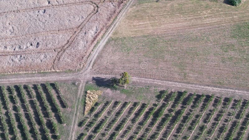 Aerial View that Zooms and Rotates Around Paths Across Different Fields ...