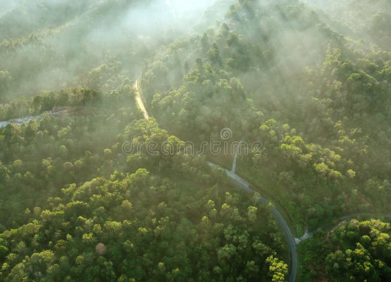 Aerial Views of Roadway with Rainforest Stock Image - Image of mountain ...