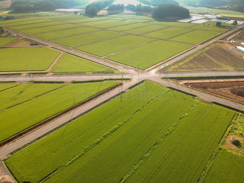 Aerial View Large Green Field. Stock Image - Image of landscape, drones ...