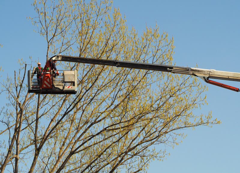 Aerial work platform stock photo. Image of picker, platform - 272423276