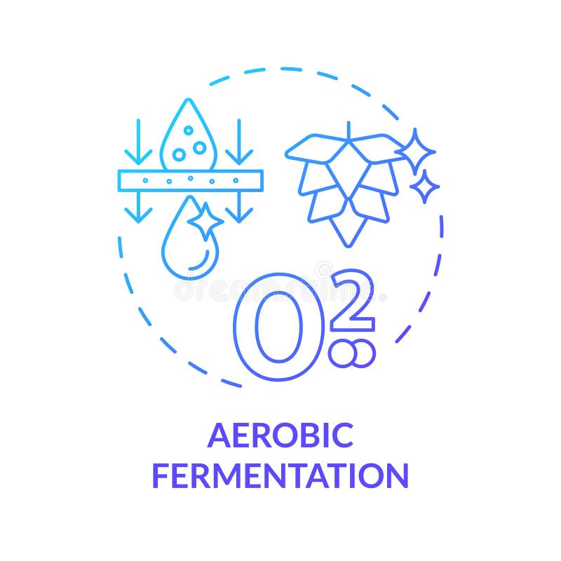 Aerobic Fermentation Blue Gradient Concept Icon Stock Vector ...