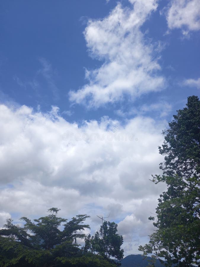 Aesthetic Blue Sky and Trees Stock Photo - Image of trees, aesthetic ...