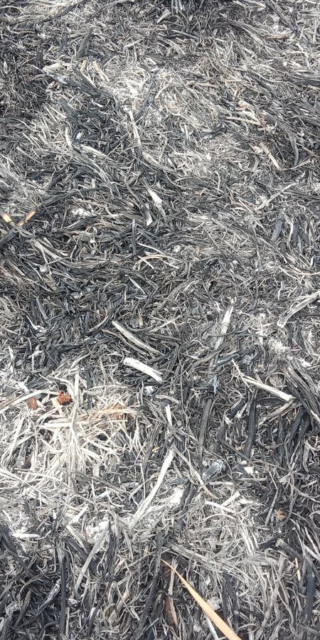 Aesthetic burning ash stock photo. Image of winter, geology - 288347706