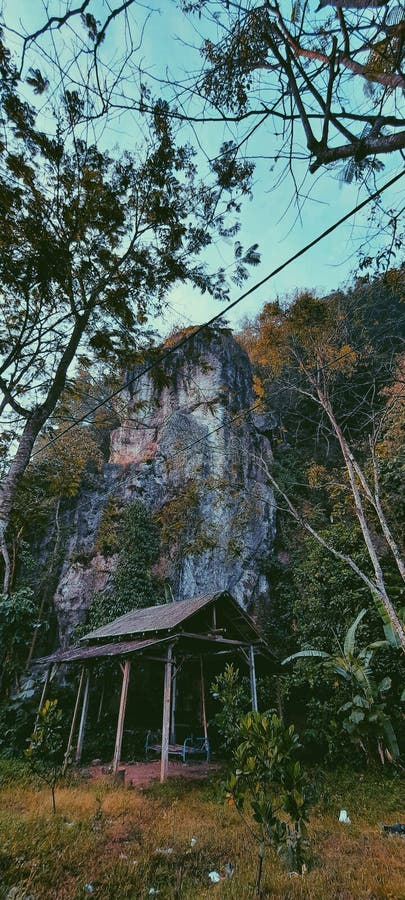 Aesthetic forest cliffs stock photo. Image of view, chill - 202334586