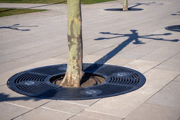 Aesthetic Functionality in Modern Urban Landscapes. Circle Tree Grate ...
