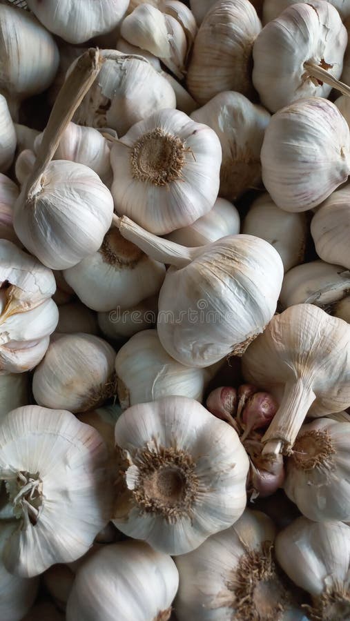 561 Aesthetic Garlic Stock Photos - Free & Royalty-Free Stock Photos ...