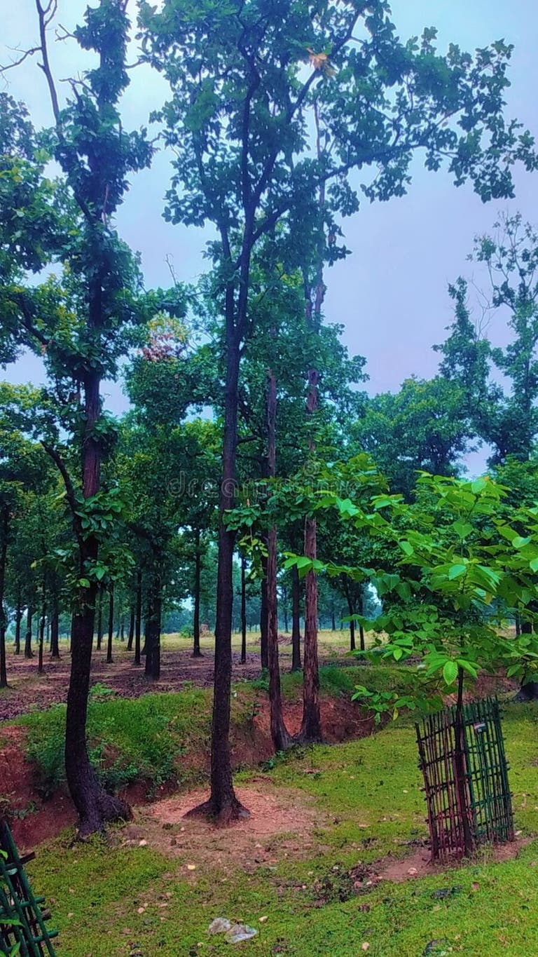 353,210 Imgsrccutie004 Images Stock Photos - Free & Royalty-Free Stock ...