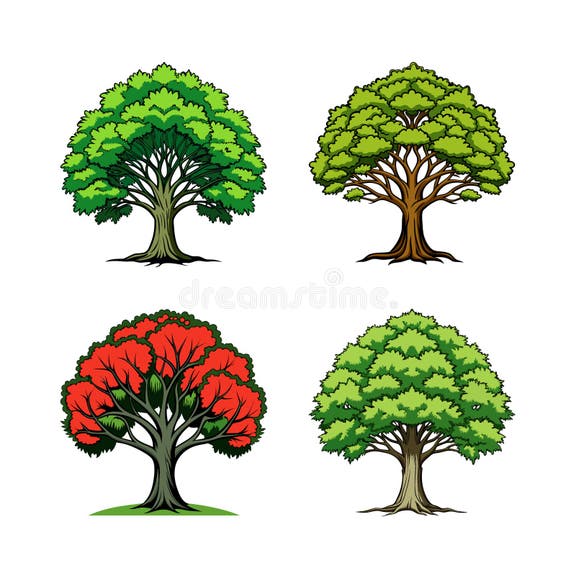 Aesthetic Hackberry Tree Illustration Design Stock Vector ...