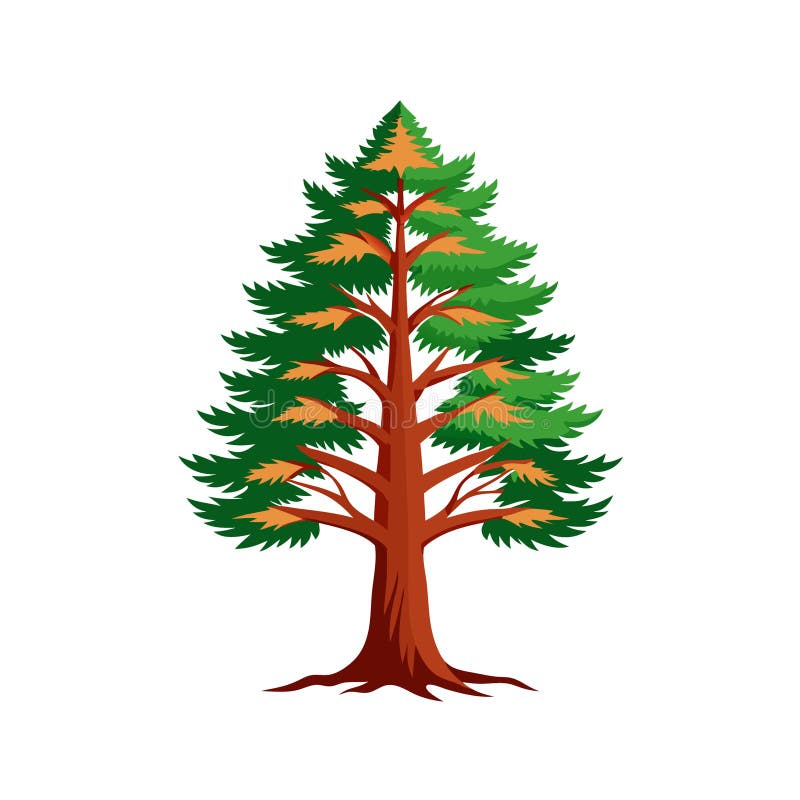 Aesthetic Larch Tree Illustration Design Stock Illustration ...