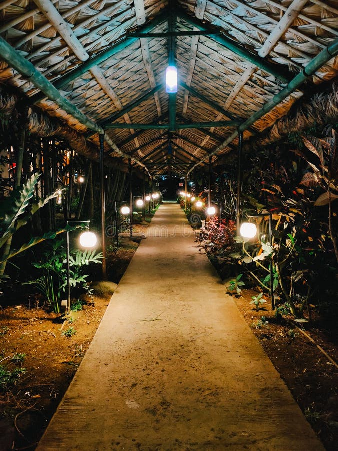 Lights on a pathway stock image. Image of pathways, night - 275630307