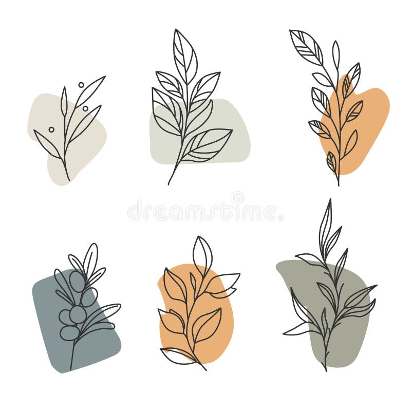 Aesthetic Plant Elements, Leaves and Branches. Template Stock Vector ...