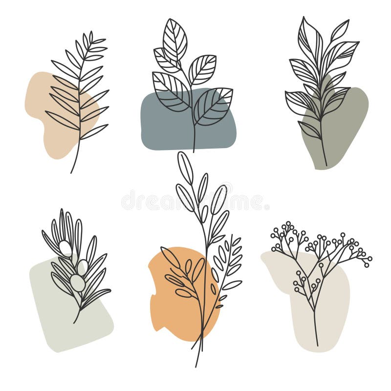 Aesthetic Plant Elements, Leaves and Branches. Template Stock Vector ...
