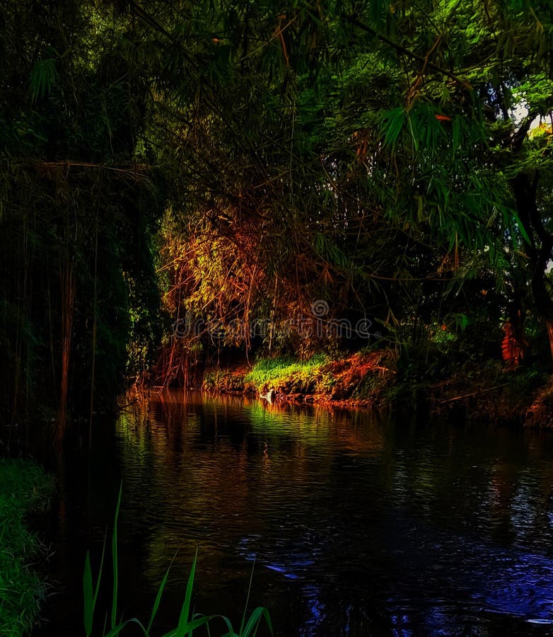 Aesthetic Portrait of a River with Calm Flowing Water Stock Photo ...