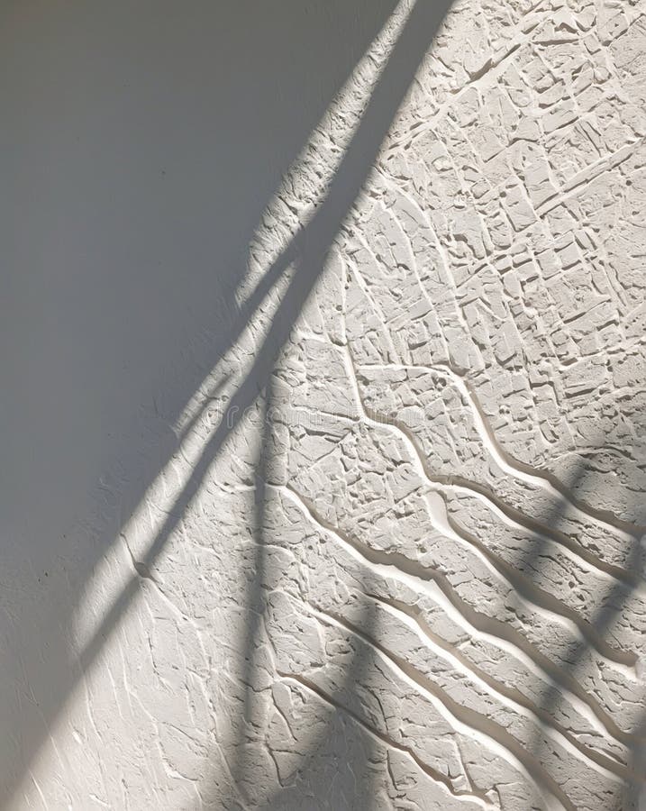 Aesthetic Shadow Overlay on the White Wall. Sunlight Forms Shadows from ...