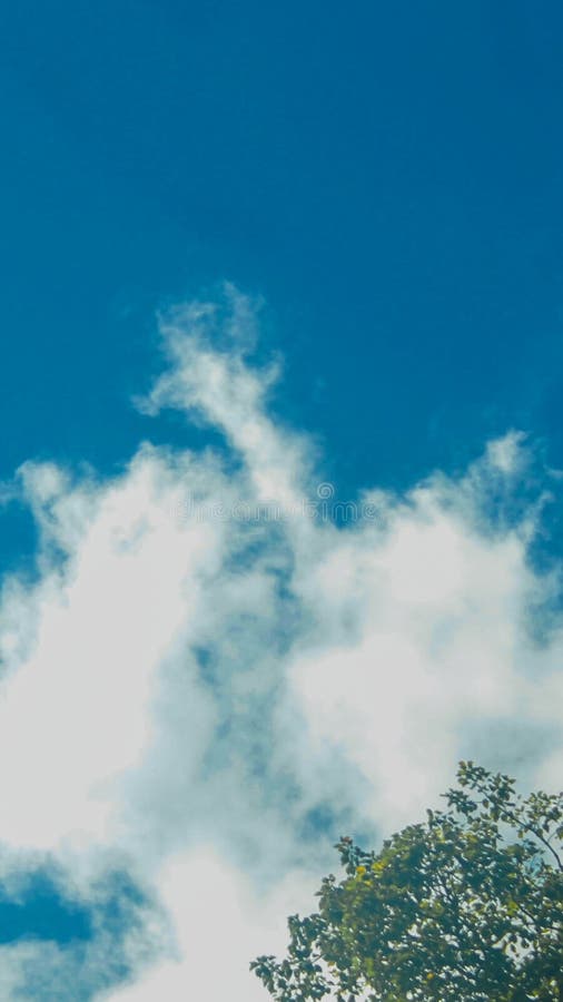 Aesthetic Sky with Blue Colors and Trees Stock Image - Image of colors ...