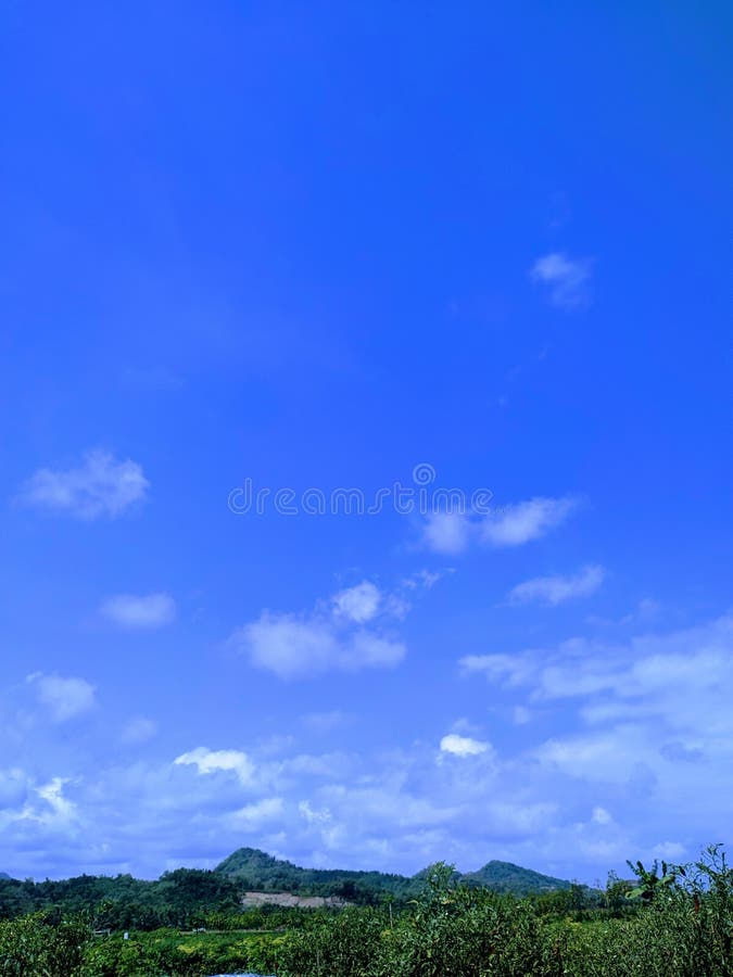 The Aesthetic View of the Leaves of the Mountain Rice Fields Stock ...