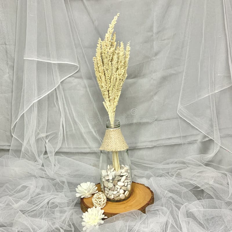 Aesthetic White Dried Flower Vase for Rustic Decoration Stock Image ...