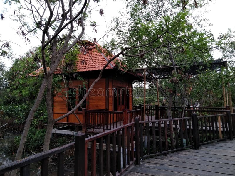 Aesthetic Wooden House in the Rural Area Stock Photo - Image of area ...