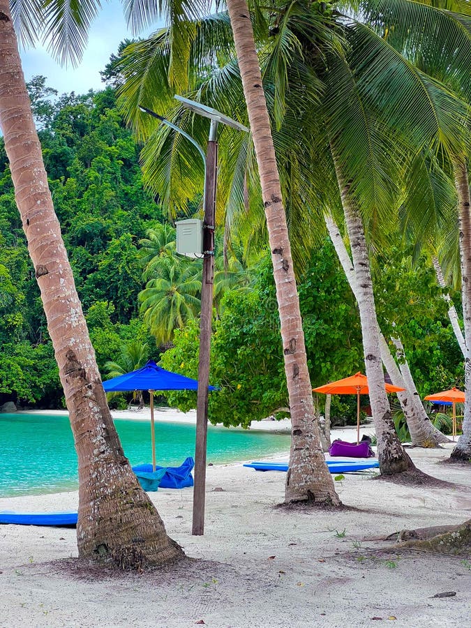 Aeva Resort stock image. Image of aeva, papua, located - 264555851