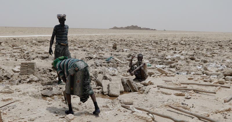 Afar Mining Salt in Danakil Depression, Ethiopia Stock Footage - Video ...