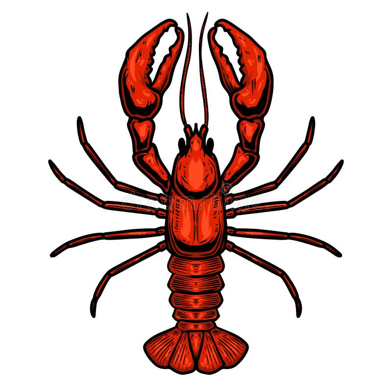 Afbeelding Van Kreeft in Gravure. Ontwerp-element Voor Logo ...