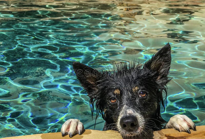 Collies Ledge Y Sgurr Mhic Choinnich En La Isla De Skye Scotland Imagen ...