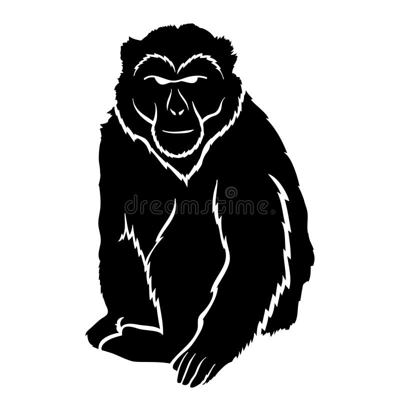 Affe lokalisiert auf Weiß vektor abbildung. Illustration von gorilla ...