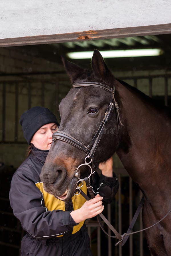 Affectionate Moment between Horse and Person in Stable Stock Image ... Affectionate Moment between Horse and Person in Stable Stock Image ...