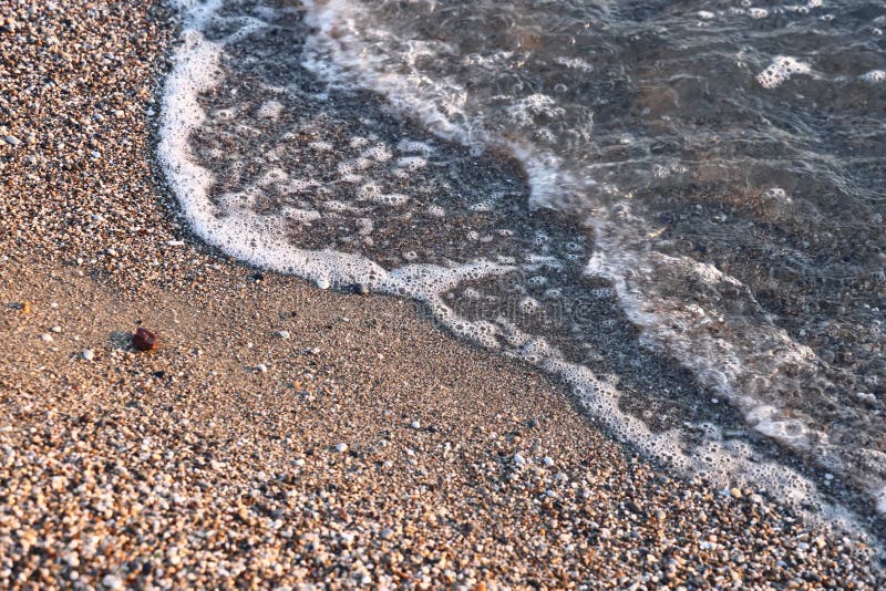 Affectionate Wave on Wet Sand, Clear Water, Foam Bubbles Stock Photo ...