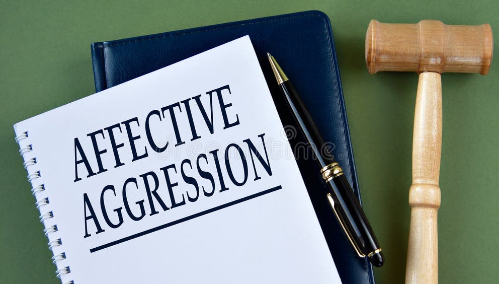 AFFECTIVE AGGRESSION - Words on a White Sheet with a Judge S Gavel ...