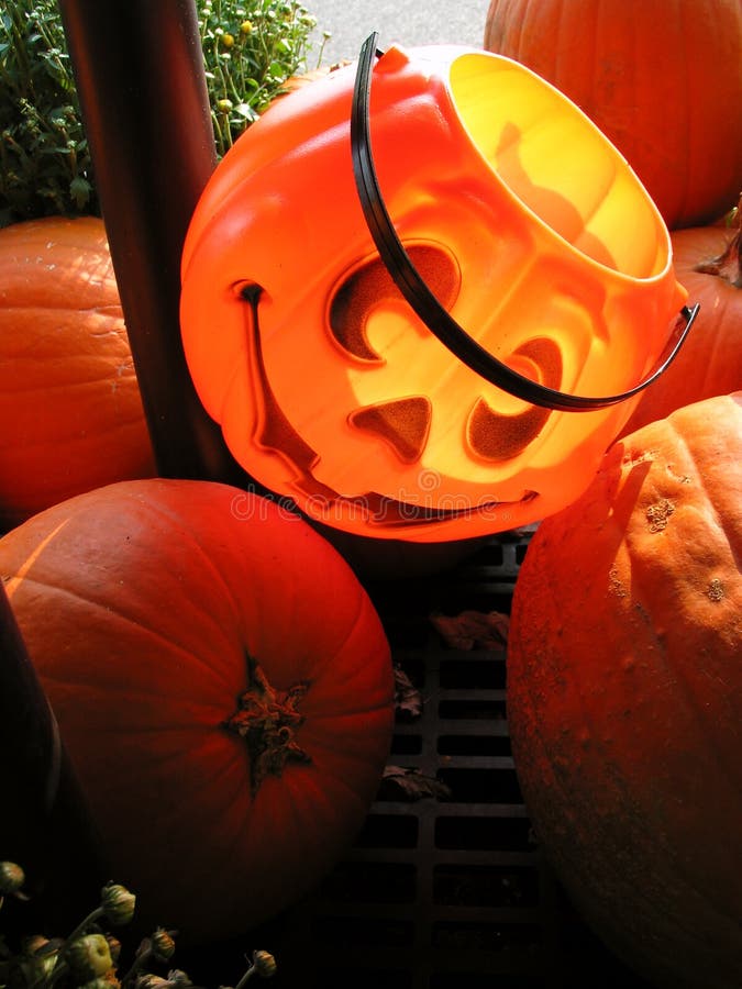 Affichage De Potiron De Lanterne De Jack O Photo stock - Image du ...