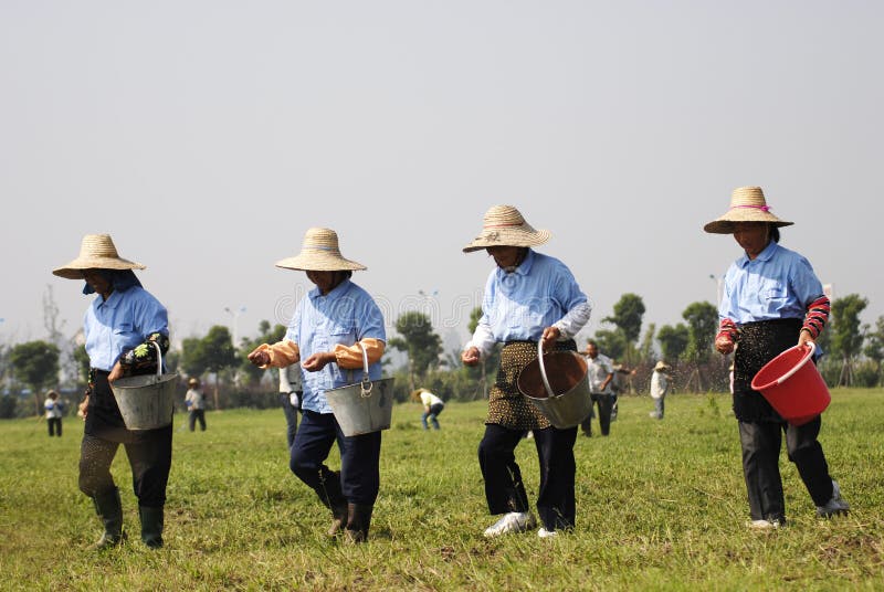 Afforest editorial stock image. Image of worker, group - 15415694