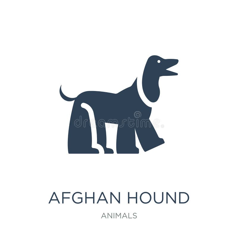 Afghan Hound Illustration stock vector. Illustration of dogs - 135886252