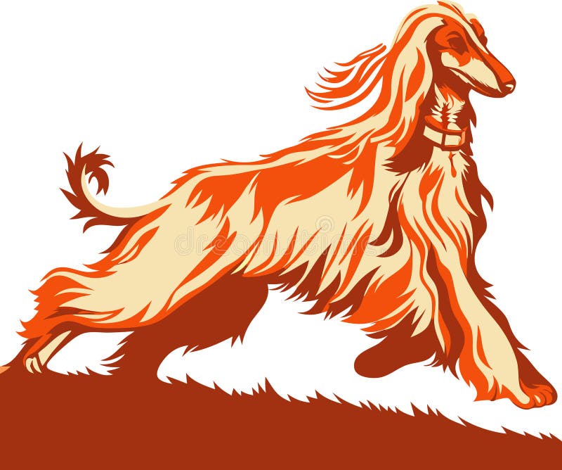 A Afghan Hound Running in the Field Vector Artwork. Stock Illustration ...