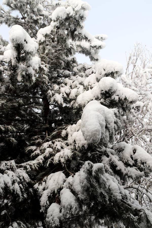 Afghanistan during winter stock photo. Image of support - 145323388