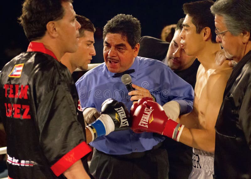 Aficionado Del árbitro Y Boxeo Profesional Foto editorial - Imagen de ...